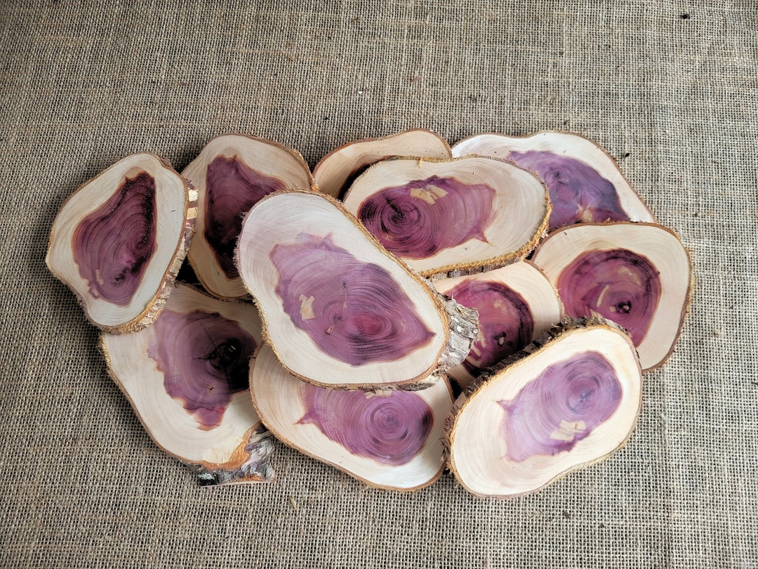 12 Red Cedar Wood Slices, 5 7.5 Wood Rounds, Live Edge Tree Slices ...