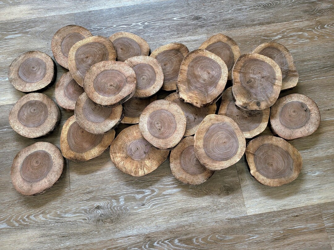 4 Walnut Wood Slabs, Tree Slices, Live Edge Black Walnut Wood Slices ...