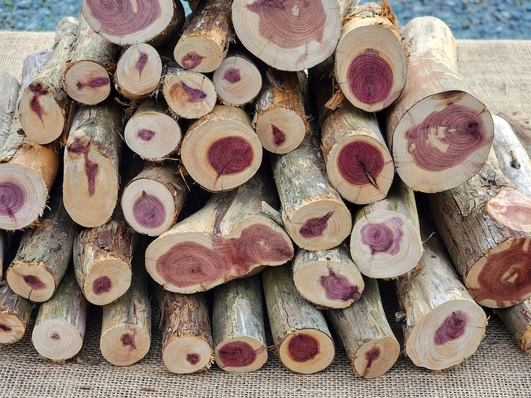 1" - 2" Red Cedar Log Bundle, 1 Dozen Cedar Logs, Rustic Home Decor ...