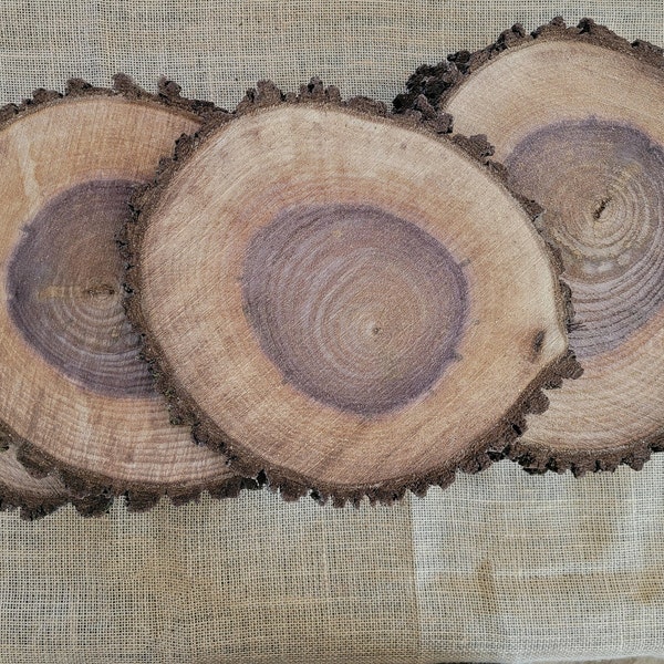 12 Inch Wood Slices - Etsy