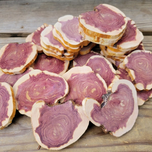 Irregular Wood Slice - Etsy