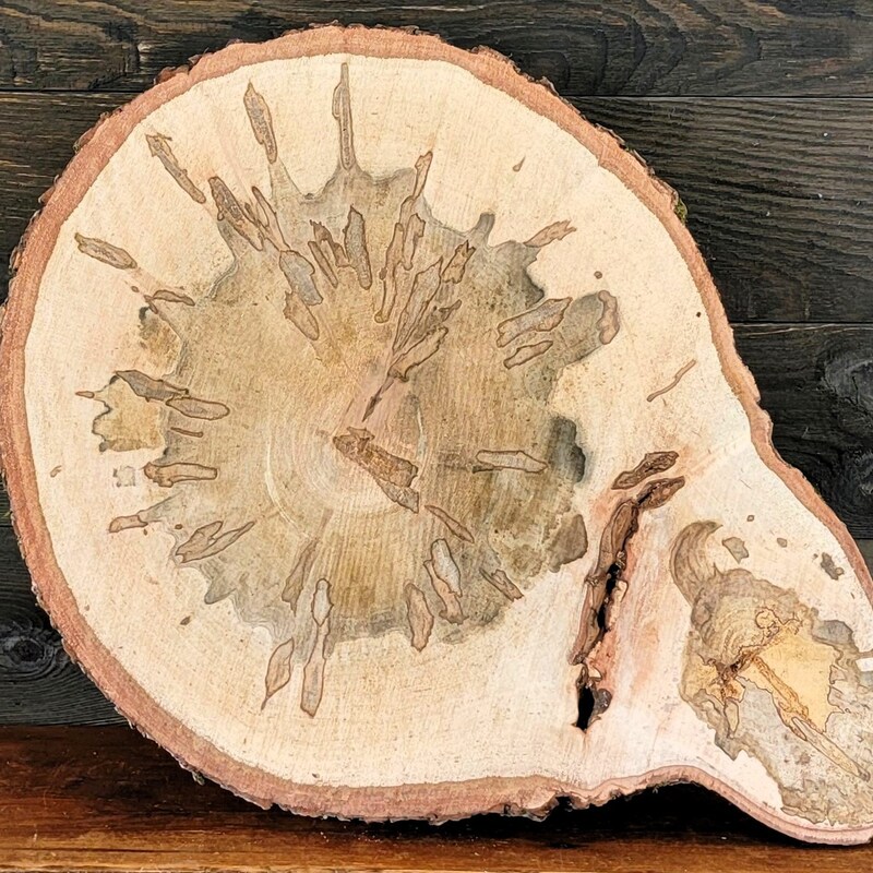 woodslicedepot - Etsy