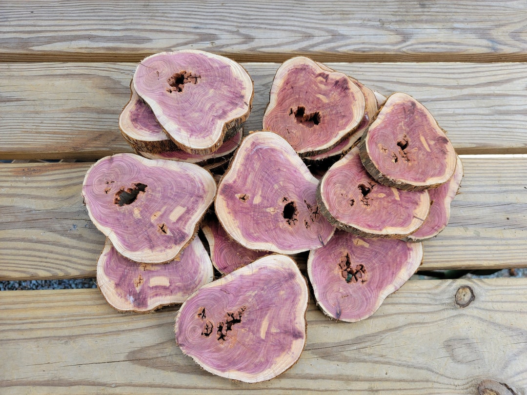 18 Red Cedar Wood Slices 5 X 1/2, Epoxy Project Wood, Irregular Shaped ...