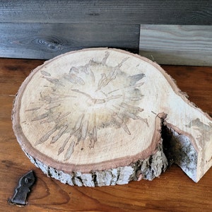 Maple Slab, Wood Slice, Large Live Edge Spalted Maple Tree Slice, Wood ...