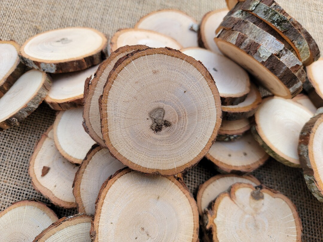 3 Oak Wood Slices, 26 Tree Slices, Rustic Wedding Decor, Live Edge ...
