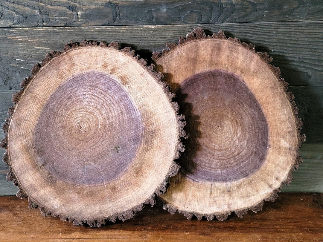 14 15 Walnut Wood Slices, Slabs, Set of 2 Rustic Wedding Centerpieces ...