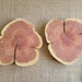 Set of 2 Red Cedar Wood Slices, Slabs, Cedar Wood Rounds, DIY ...