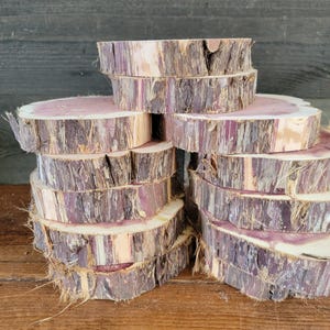 Set of 12 Red Cedar Wood Slices, 1 Thick Cookies, Wood Rounds, Tree ...