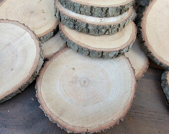 Oak Tree Slices - Etsy