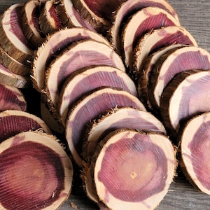 2" - 3" Red Cedar Wood Slices, Set of 30 Live Edge Tree Slices, Round ...