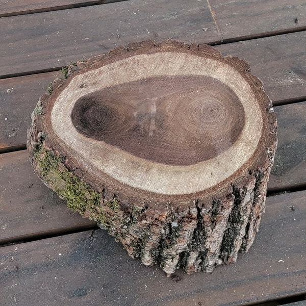 Tree Stump Table - Etsy