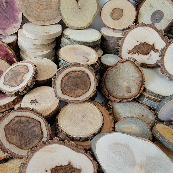 Tree Slices - Etsy