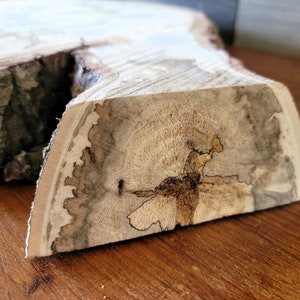 Maple Slab, Wood Slice, Large Live Edge Spalted Maple Tree Slice, Wood ...