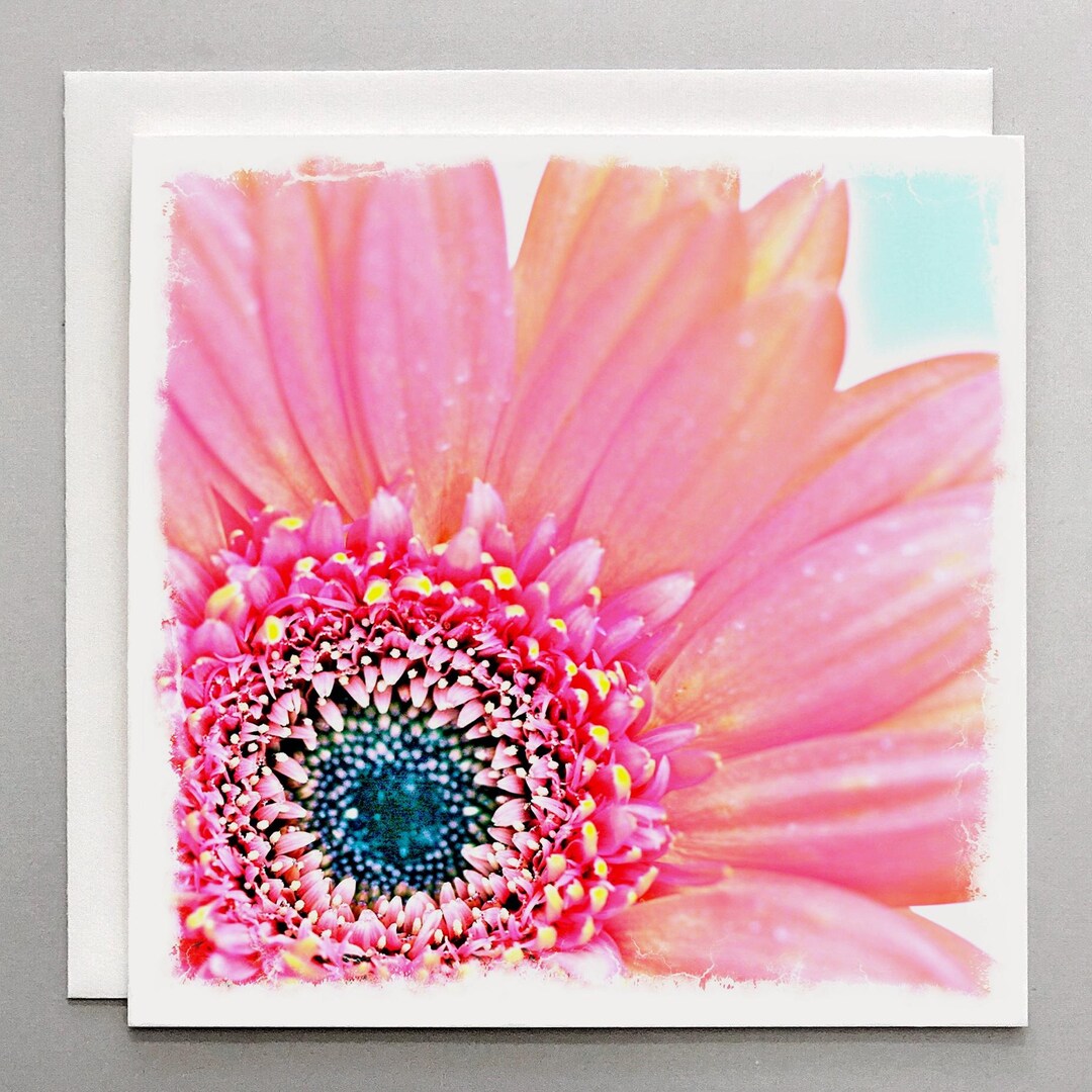 Pink Daisy Flower Note Card, Blank Inside, Everyday Greeting, Cotton ...