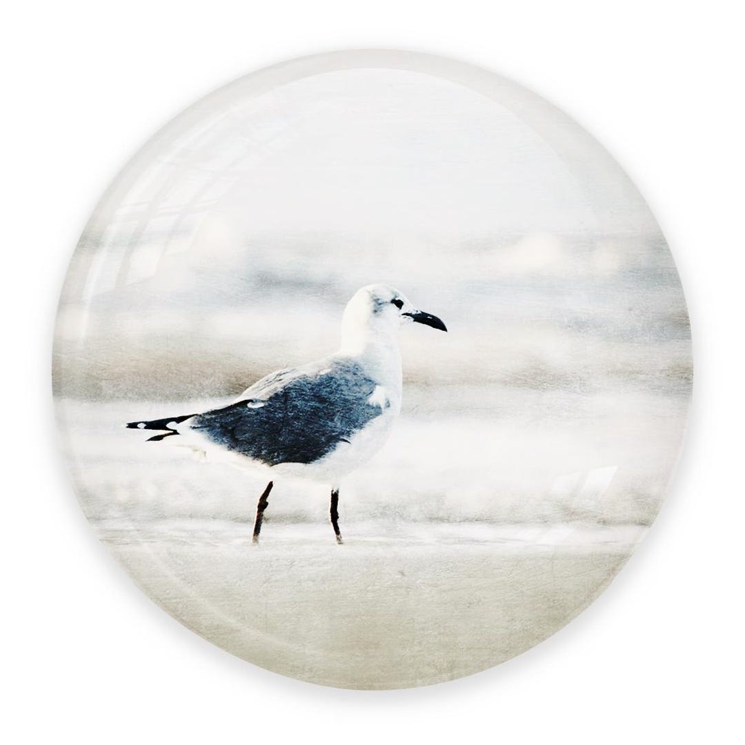 Seagull Glass Paperweight: Coastal Home Decor - Art Print - Beach Scene ...