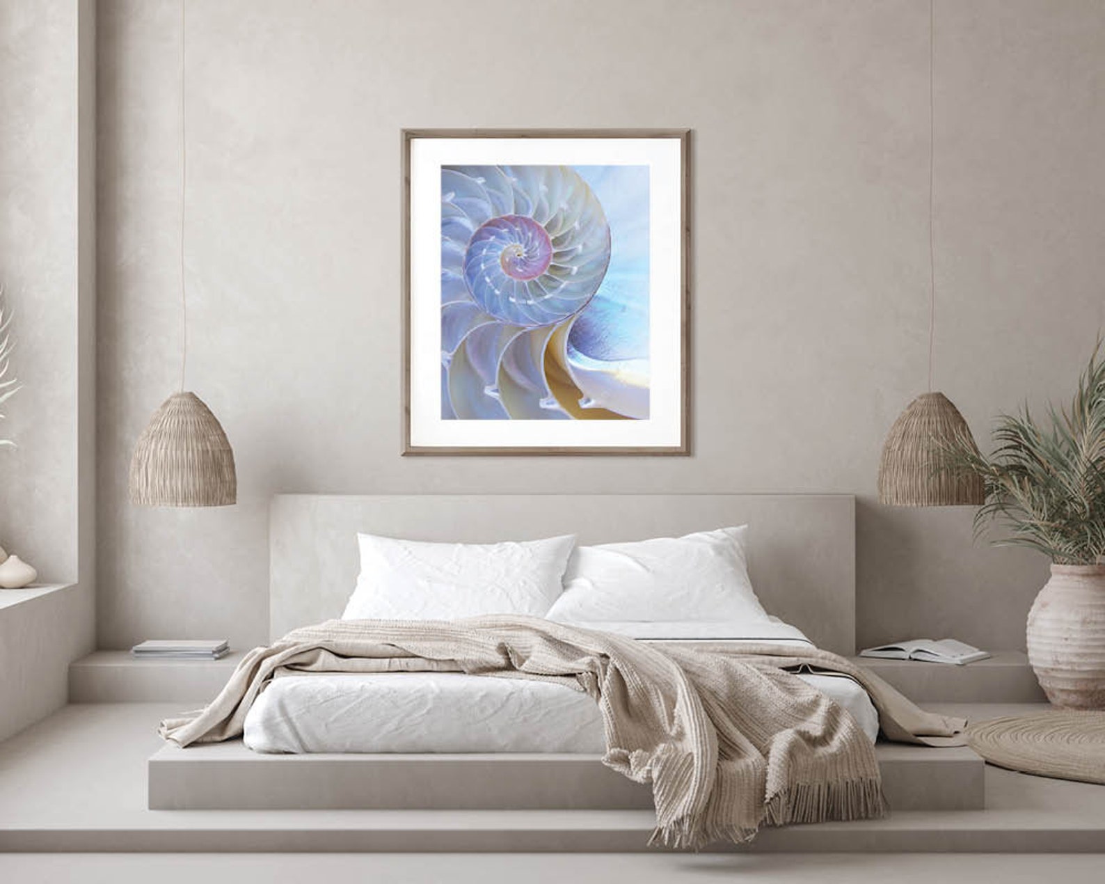 Inner Chambers of a Iridescent Pearl Nautilus Shell Seashell - Etsy