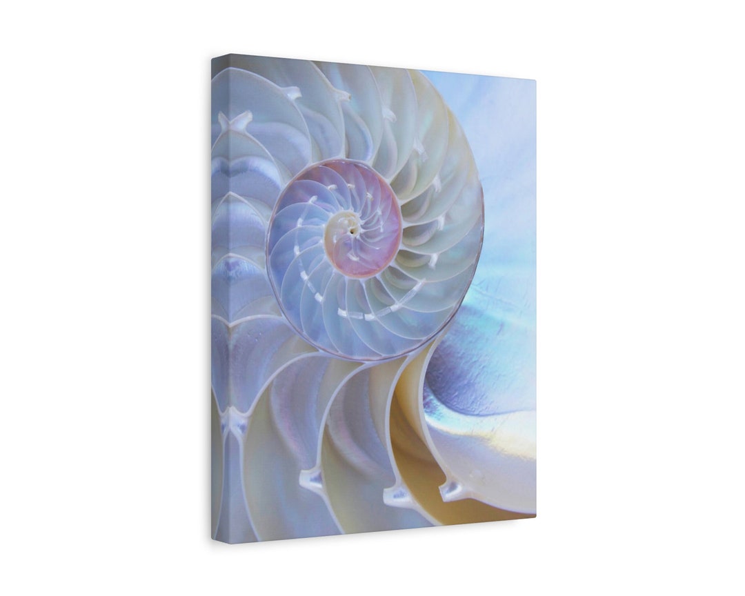 Nautilus Shell Canvas Wall Art - Inner Chambers of an Iridescent Pearl ...
