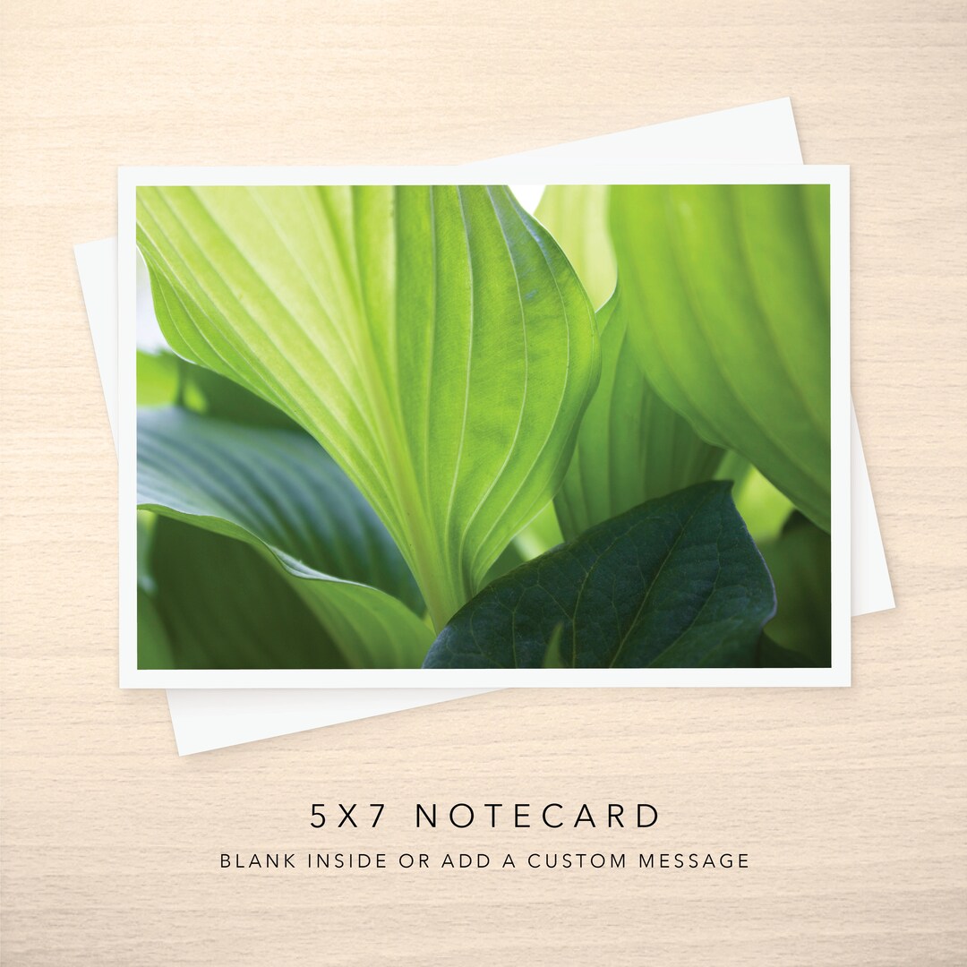 5x7 Note Card - Blank or With Custom Text Inside - Sunlight Through ...