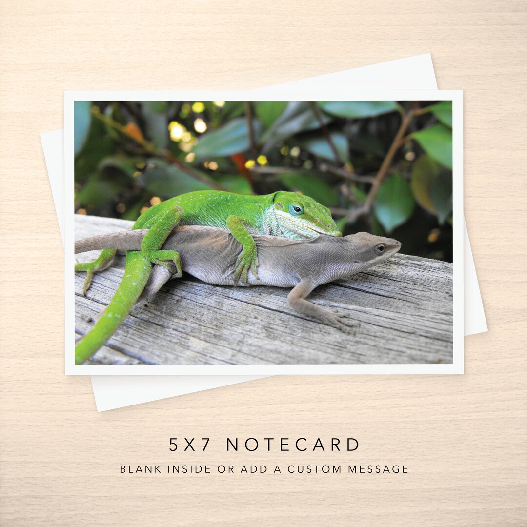 5x7 Note Card - Blank or With Custom Text Inside - Two Anole Lizards ...