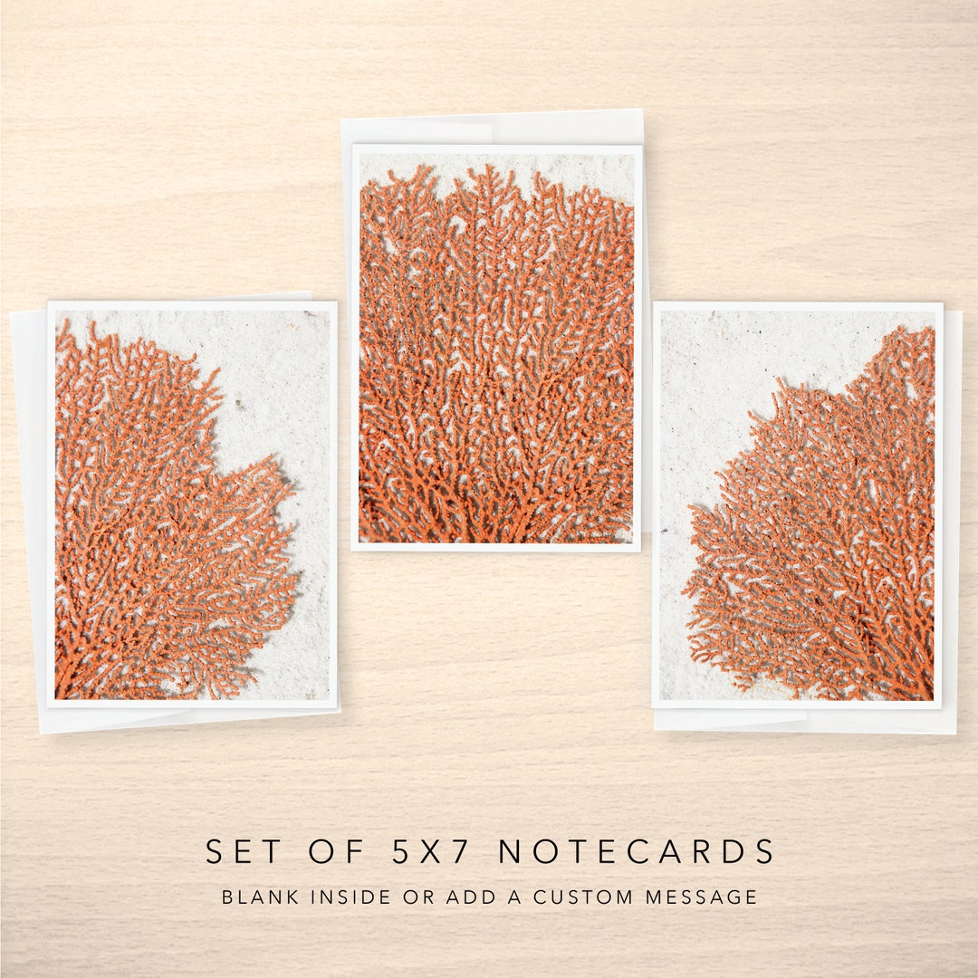 Set of 3 - 5x7 Note Cards - Blank or With Custom Text Inside - Sea Fan ...