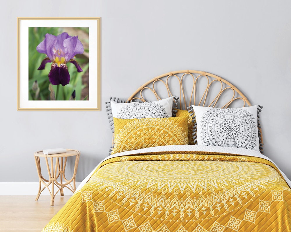 Regal Royal Violet Purple Iris Photo Botanical Photography | Etsy