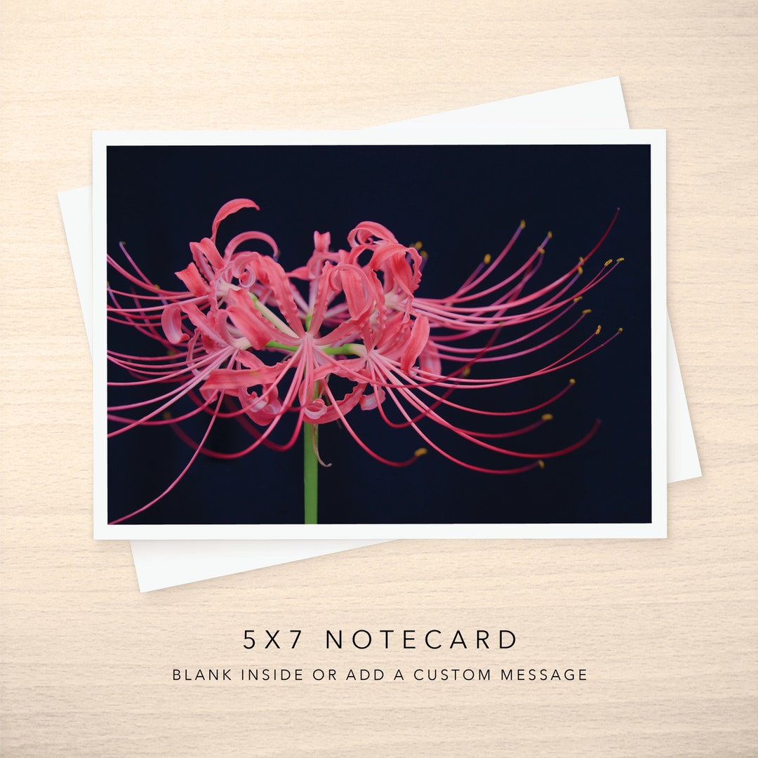 5x7 Note Card - Blank or With Custom Text Inside - Dramatic Red Spider ...