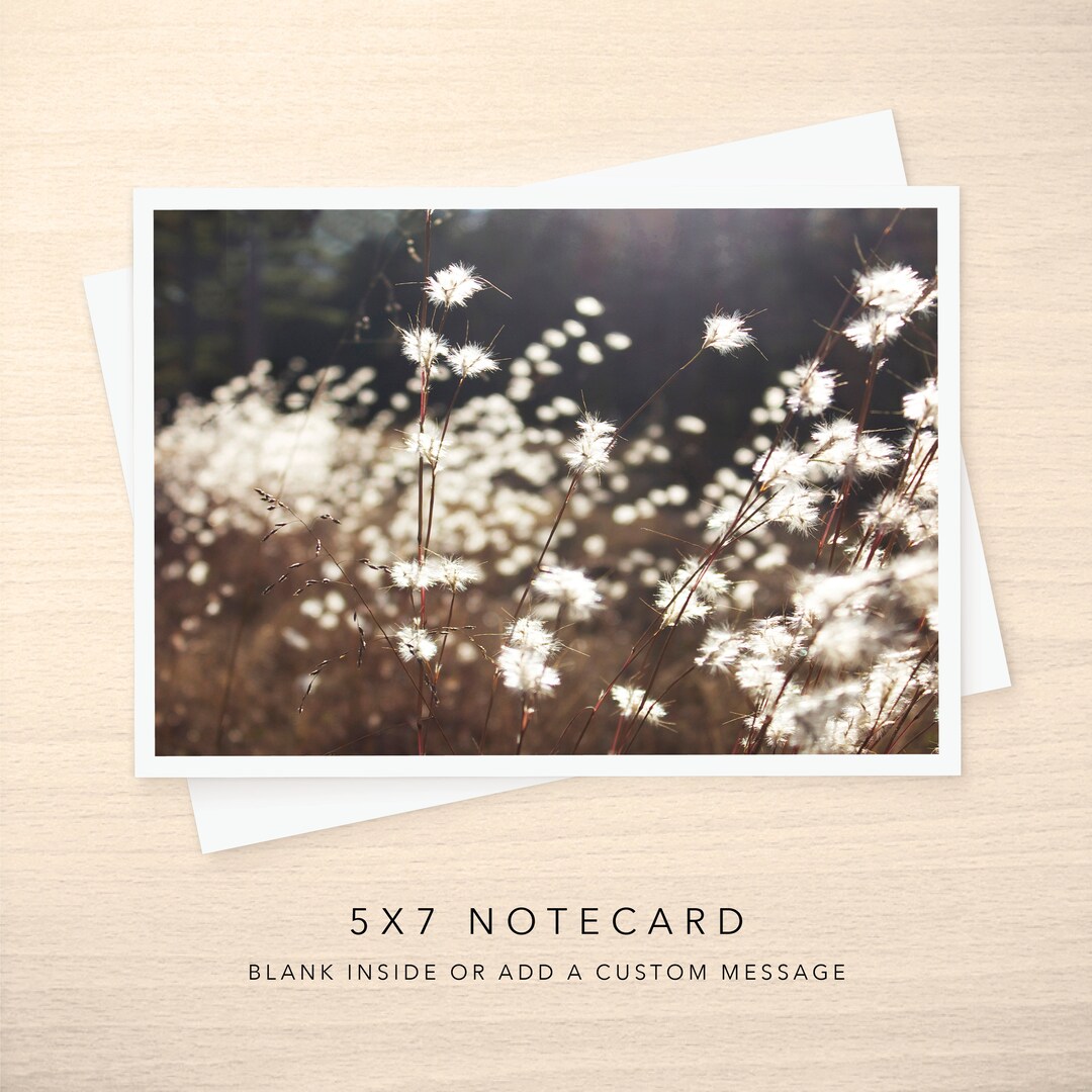5x7 Note Card - Blank or With Custom Text Inside - Sun on Fluffy ...