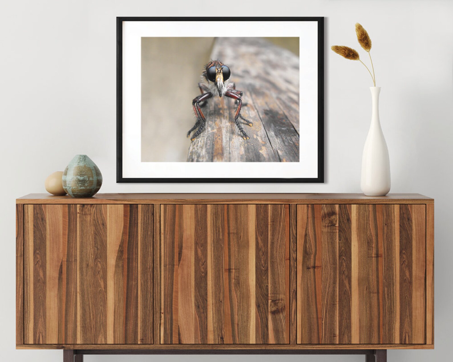 Robber Fly Aka Assassin Fly Macro Photo Monstrous but - Etsy