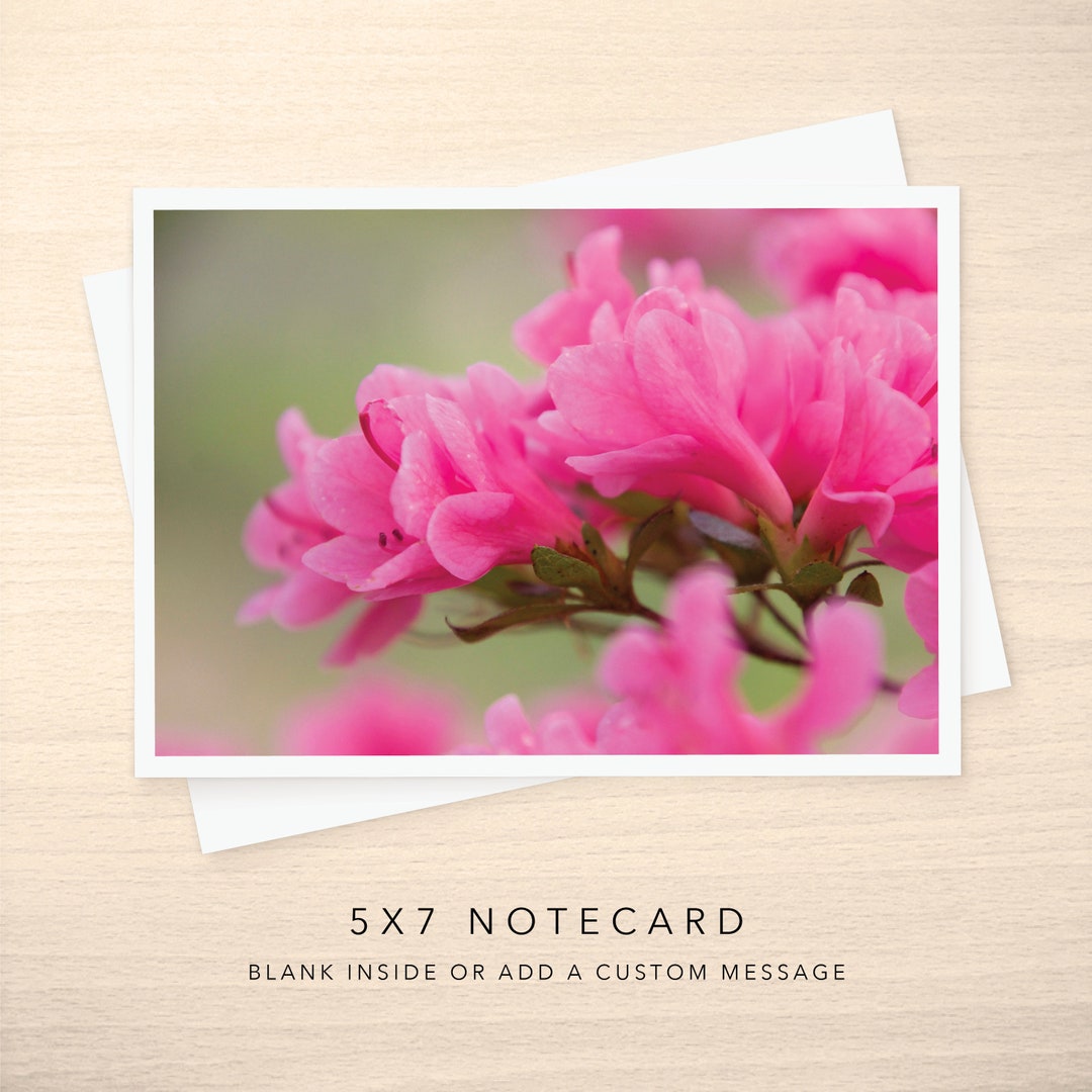 5x7 Note Card - Blank or With Custom Text Inside - Pink Azalea Flowers ...