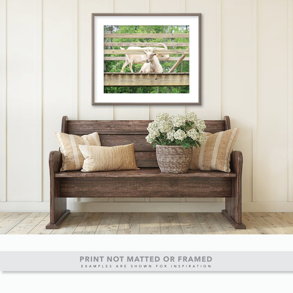 Two Goats on a Bridge - Funny Farm Animal Photo - Etsy