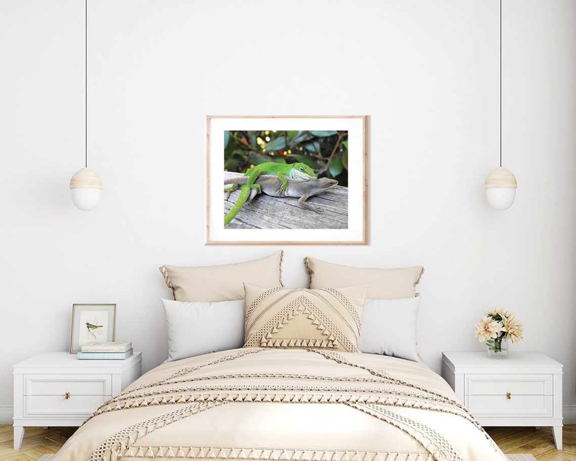 Love Bites Two Anole Lizards Mating Photo Print Green Male - Etsy