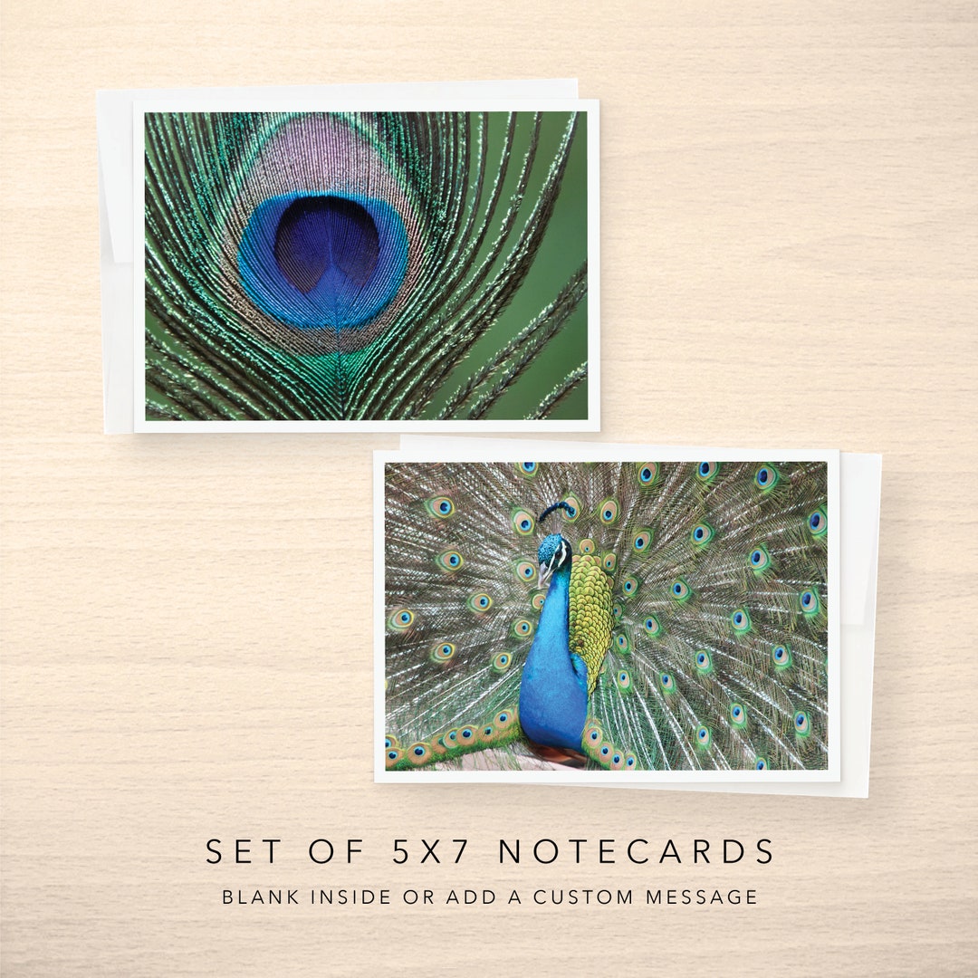 Set of 2 - 5x7 Note Cards - Blank or With Custom Text Inside - Peacock ...