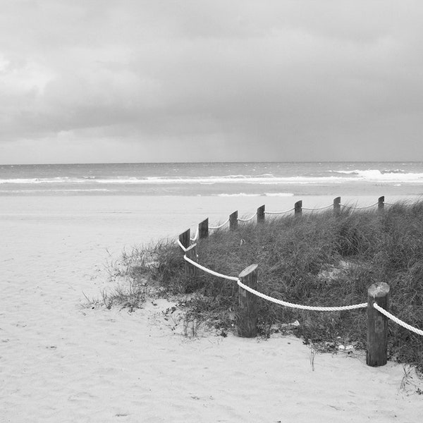 Sea Grass Etsy