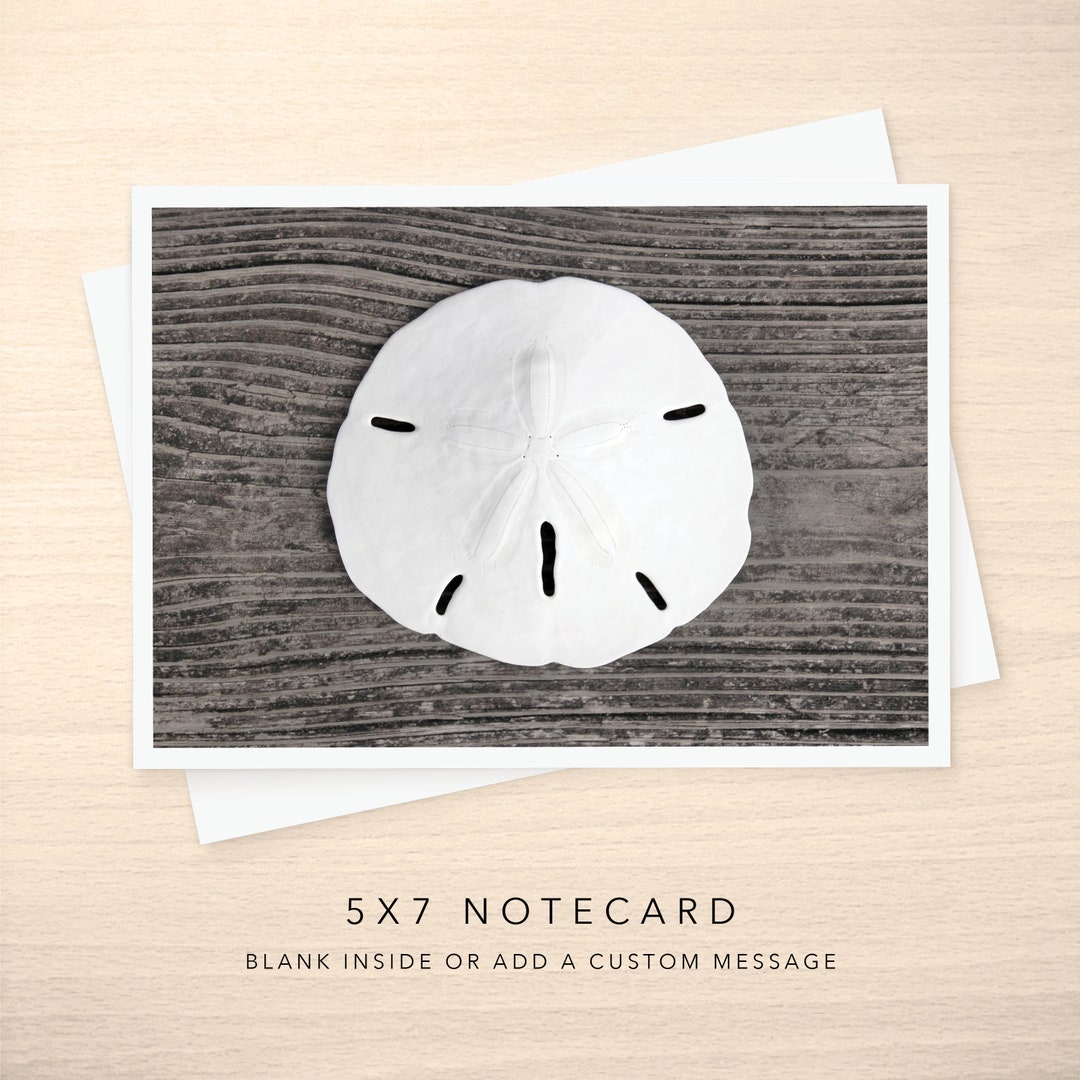 5x7 Note Card - Blank or With Custom Text Inside - Crisp White Sand ...