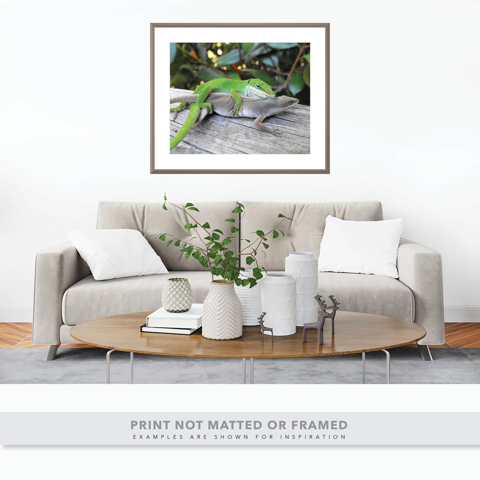 Love Bites Two Anole Lizards Mating Photo Print Green Male Brown Female ...