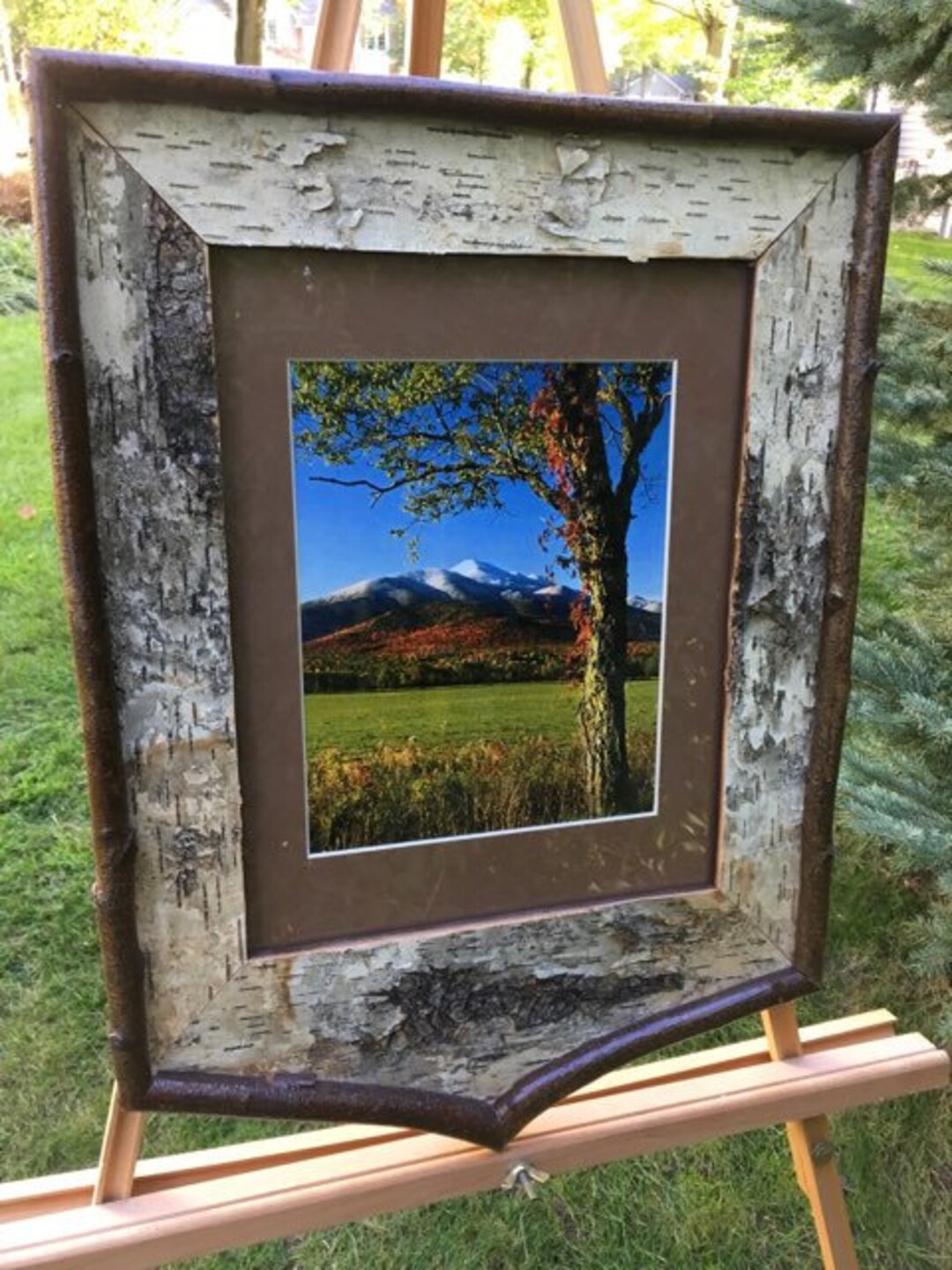 White Birch Picture Frame (5x7) - Algonquin From Loj Road - Etsy