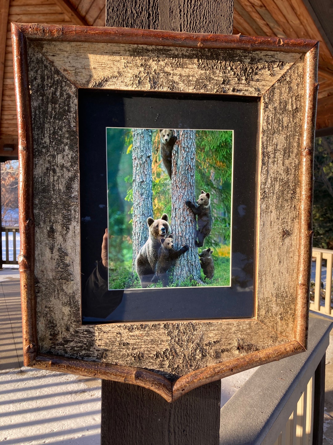 White Birch Picture Frame With Twig Border (21