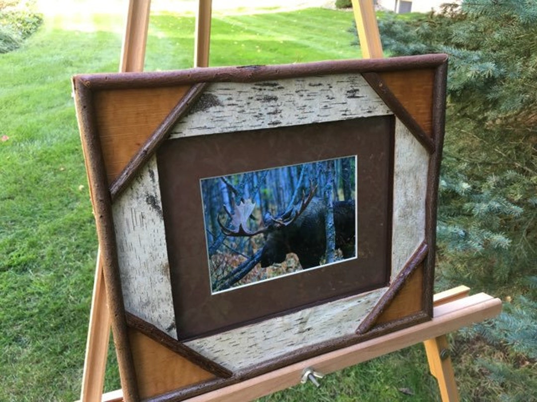 White Birch Picture Frame With Twig Border (14x12) - Bull Moose - Etsy