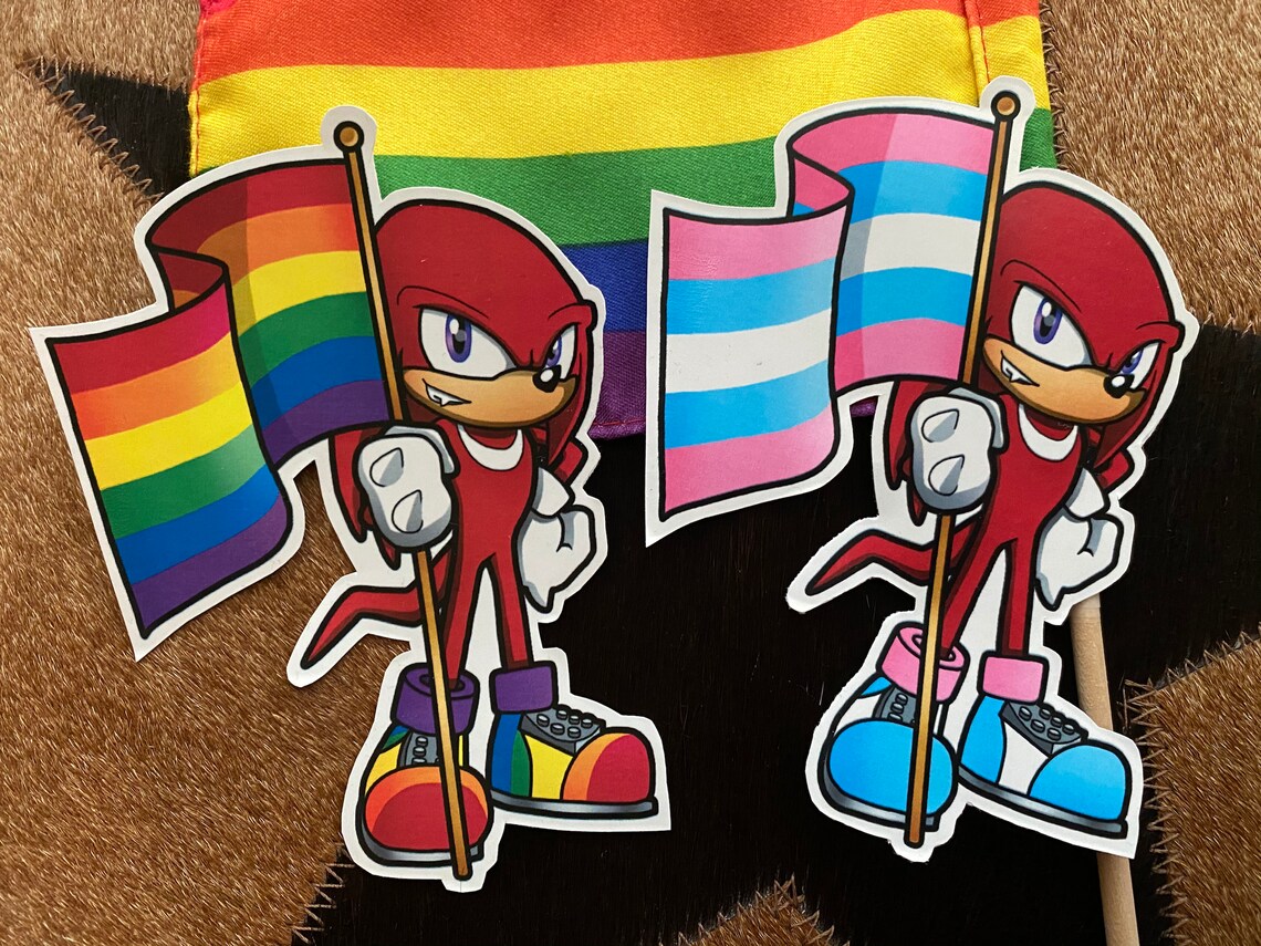SEGA Sonic the Hedgehog Knuckles LGBT Pride Flag Vinyl | Etsy