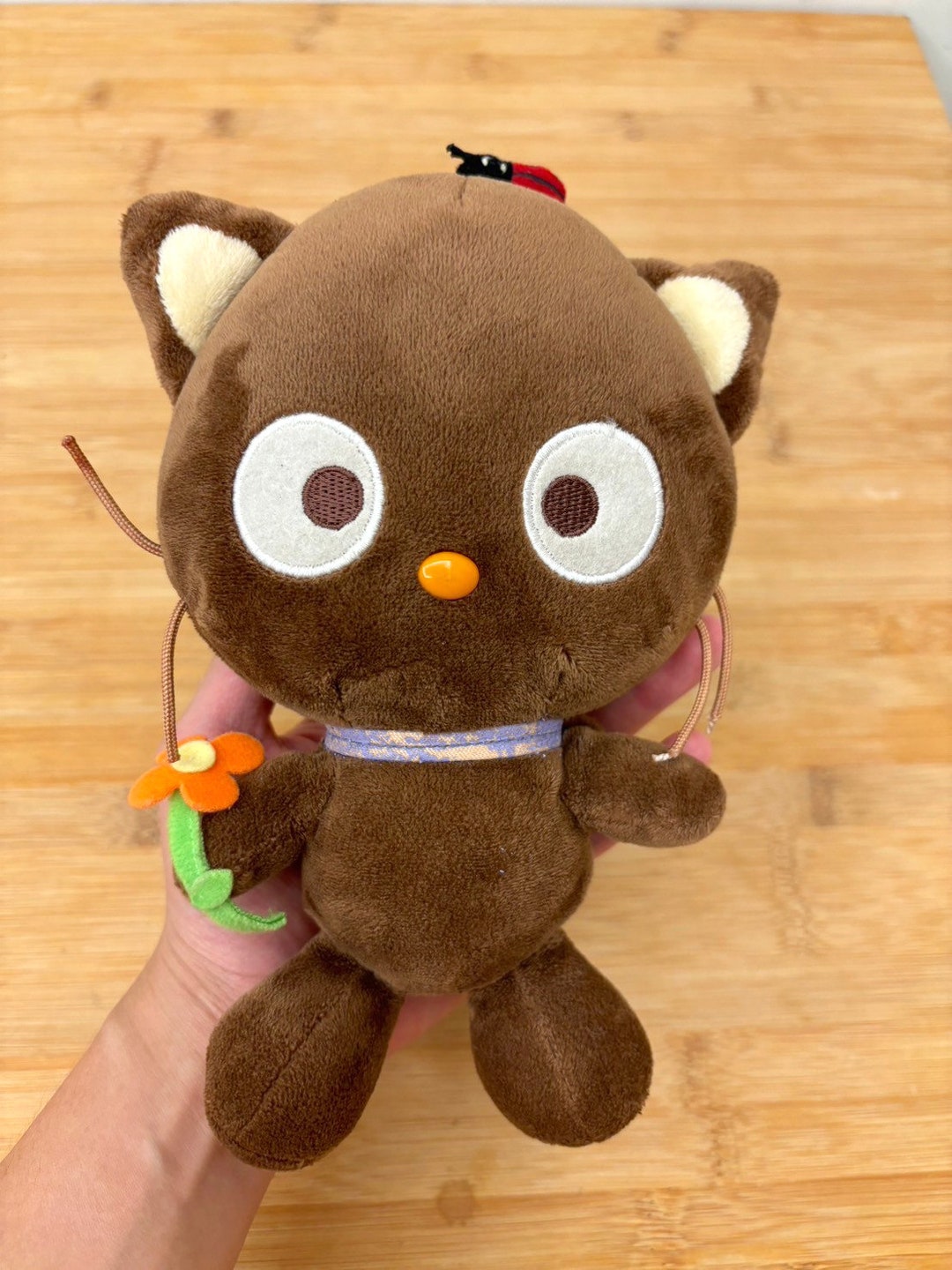 Sanrio Chococat Doll - Etsy