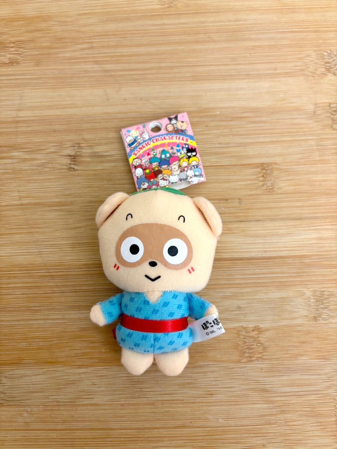 Sanrio Pokopon Diary Doll - Etsy