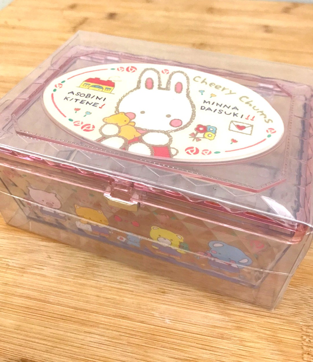 Sanrio Cheery Chums Plastic Box - Etsy