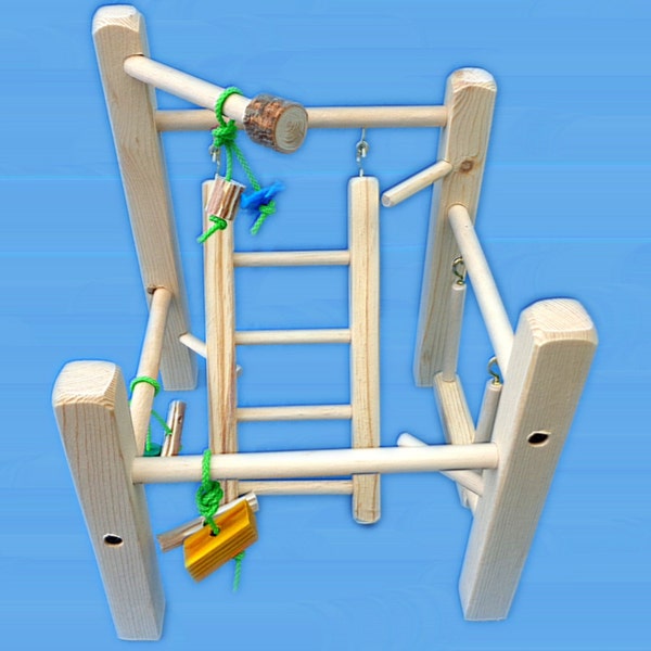 Bird Play Gym - Etsy