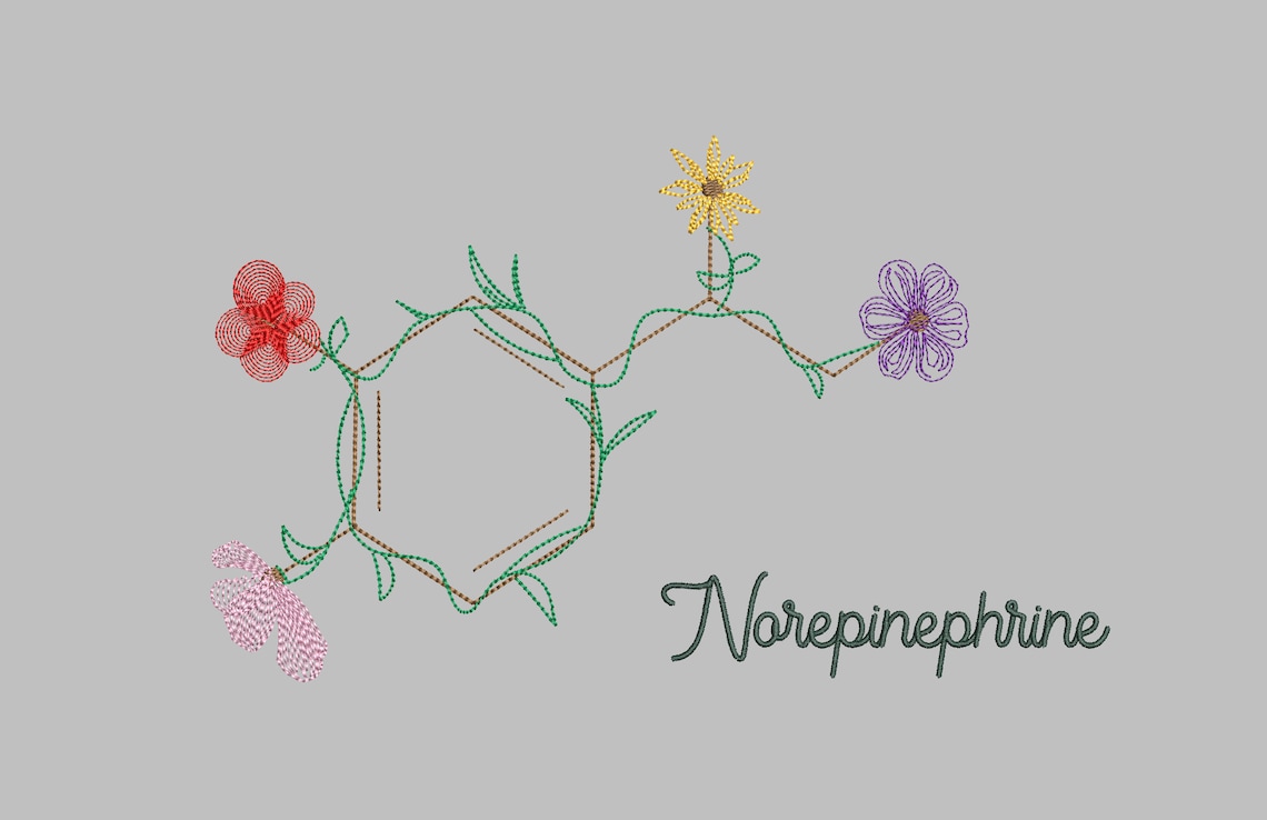 Norepinephrine Embroidery Design for Machines DST EXP HUS | Etsy