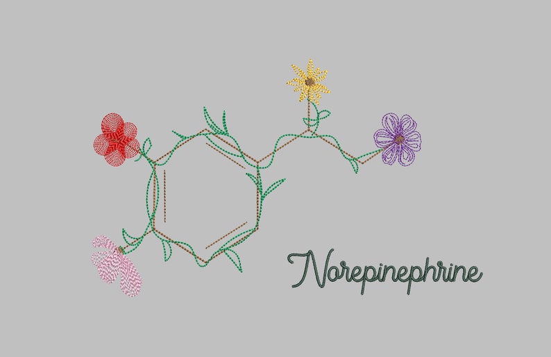 Norepinephrine Embroidery Design for Machines DST EXP HUS - Etsy Ireland