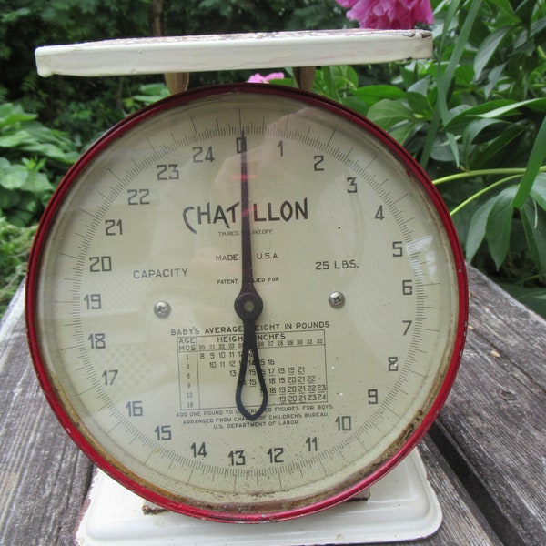 Chatillon Scale - Etsy