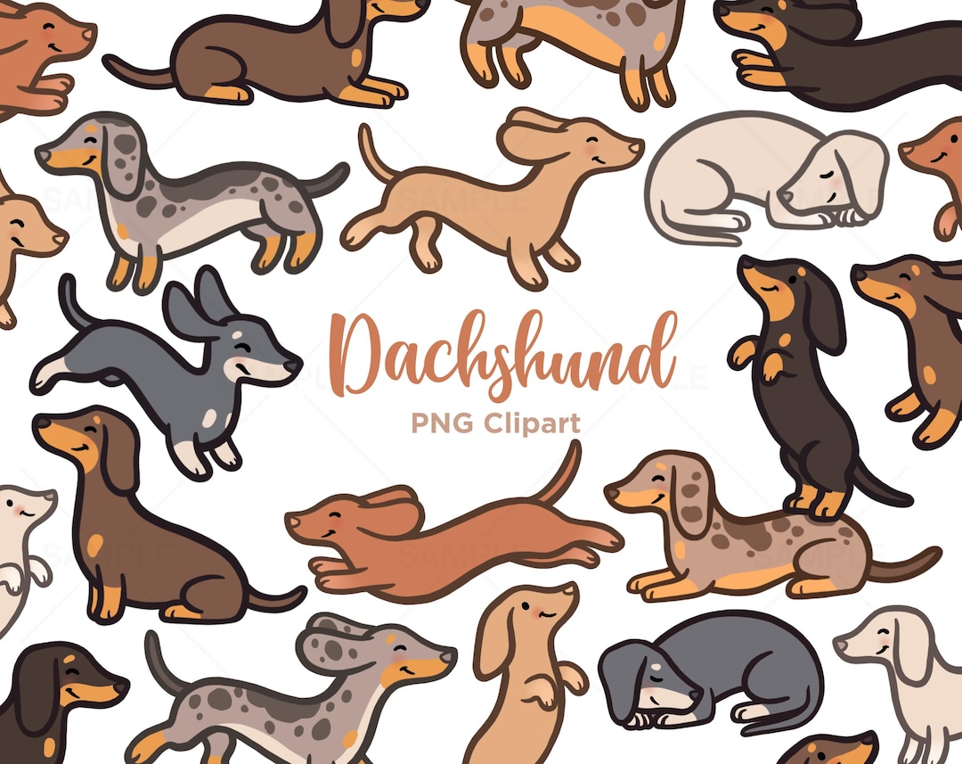 Dachshunds Clipart, Sausage Dog Clip Art, Cute Dog Illustrations, Hand ...