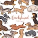 Cute Dachshund Clipart Bundle | Sausage Dog Art | Digital Download for ...