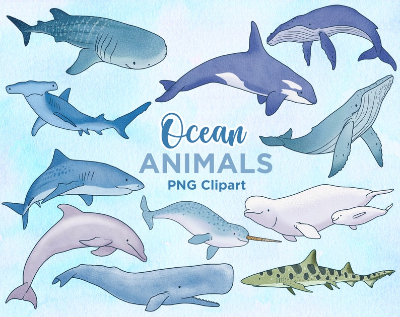Ocean Animals Clipart Under the Sea Digital Watercolor Sea - Etsy