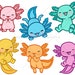 Cute Axolotl Clipart, Kawaii Axolotl, Axolotl Illustrations, Hand Drawn ...